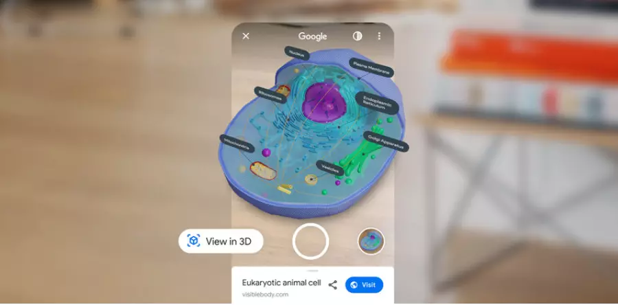Google axtarış indi genişlənməyə reallıq dünya öyrənmək üçün imkan verir