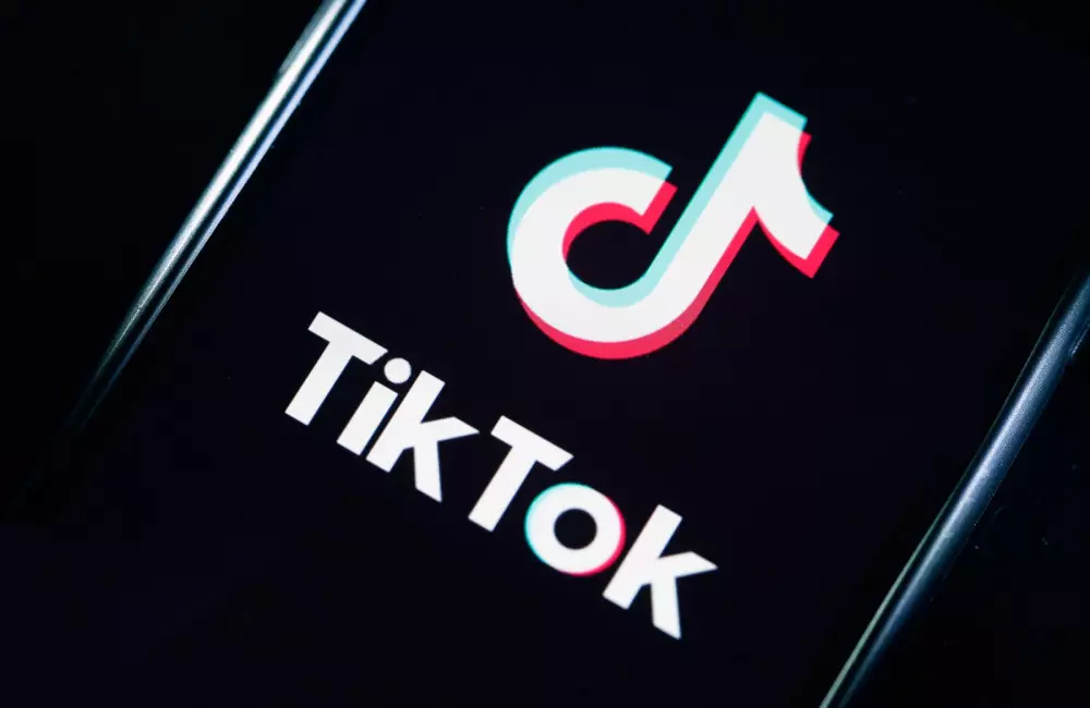 Tiktok passará a internet para a aldeia por uma pessoa que pegue uma rede com bétula