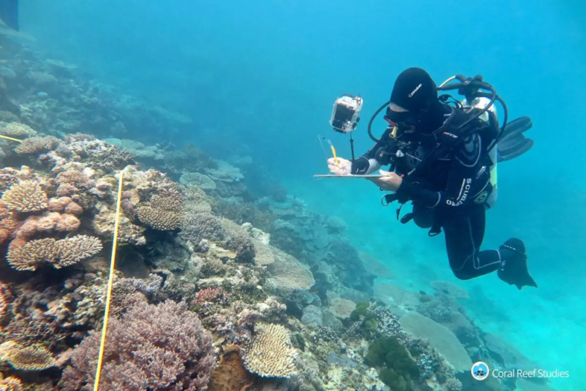 Oratè anba dlo ede retabli gwo baryè Reef a