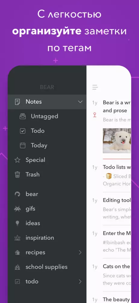 Bearwriter.jpg।