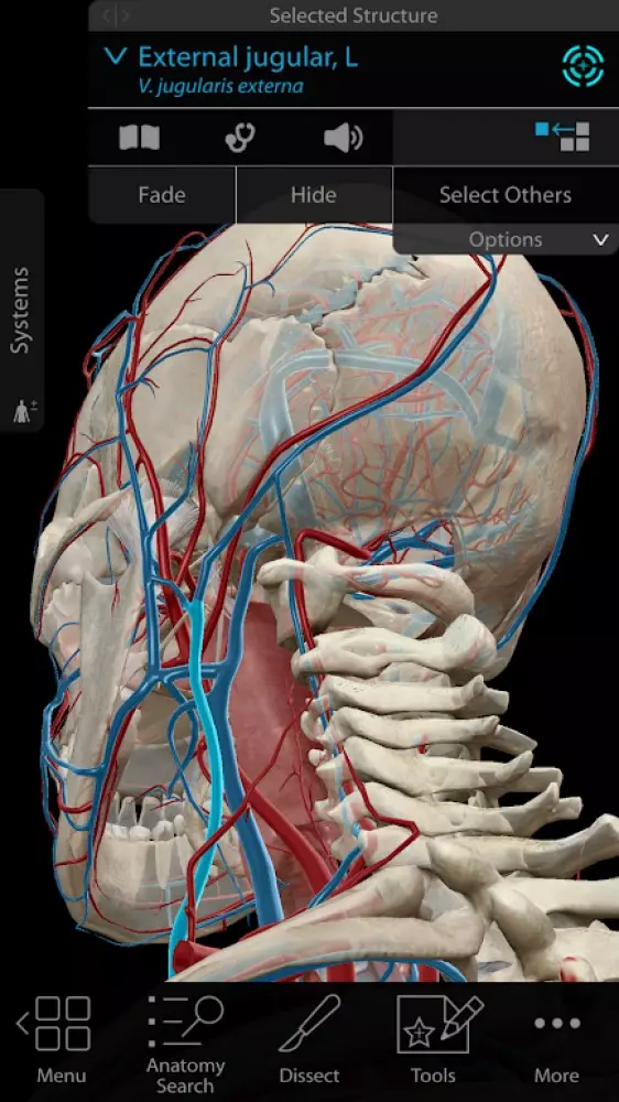 Anatomy atlas.jpg.